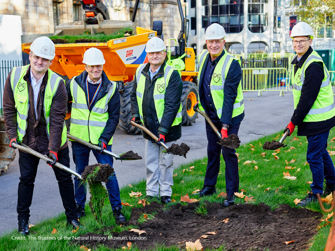 Milestone celebrated at the Natural History Museum as works commence on ...