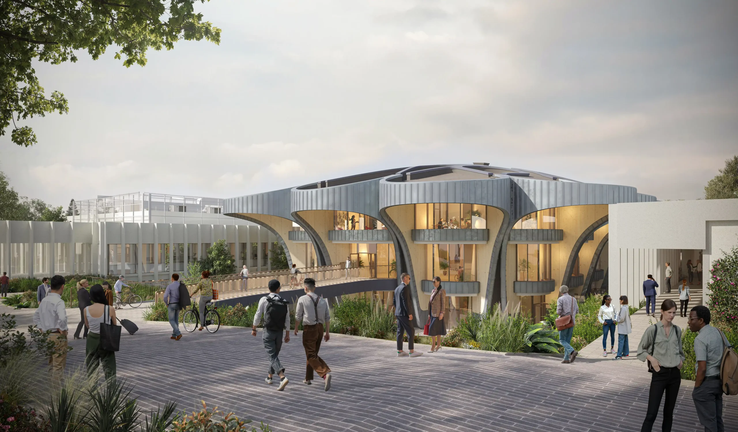 UCB Windlesham Campus - Walter Lilly